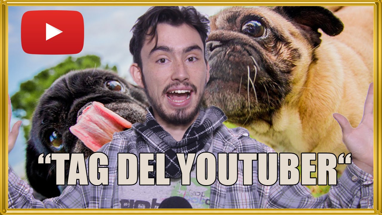 ¡LOS PUGS SON LA INSPIRACIÓN!/Tag del youtuber - YouTube