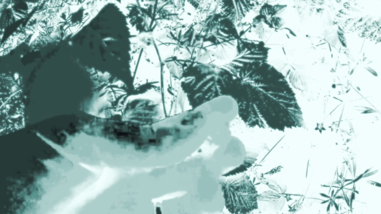 Reuben's Film (Reuben: Growing Works) - YouTube