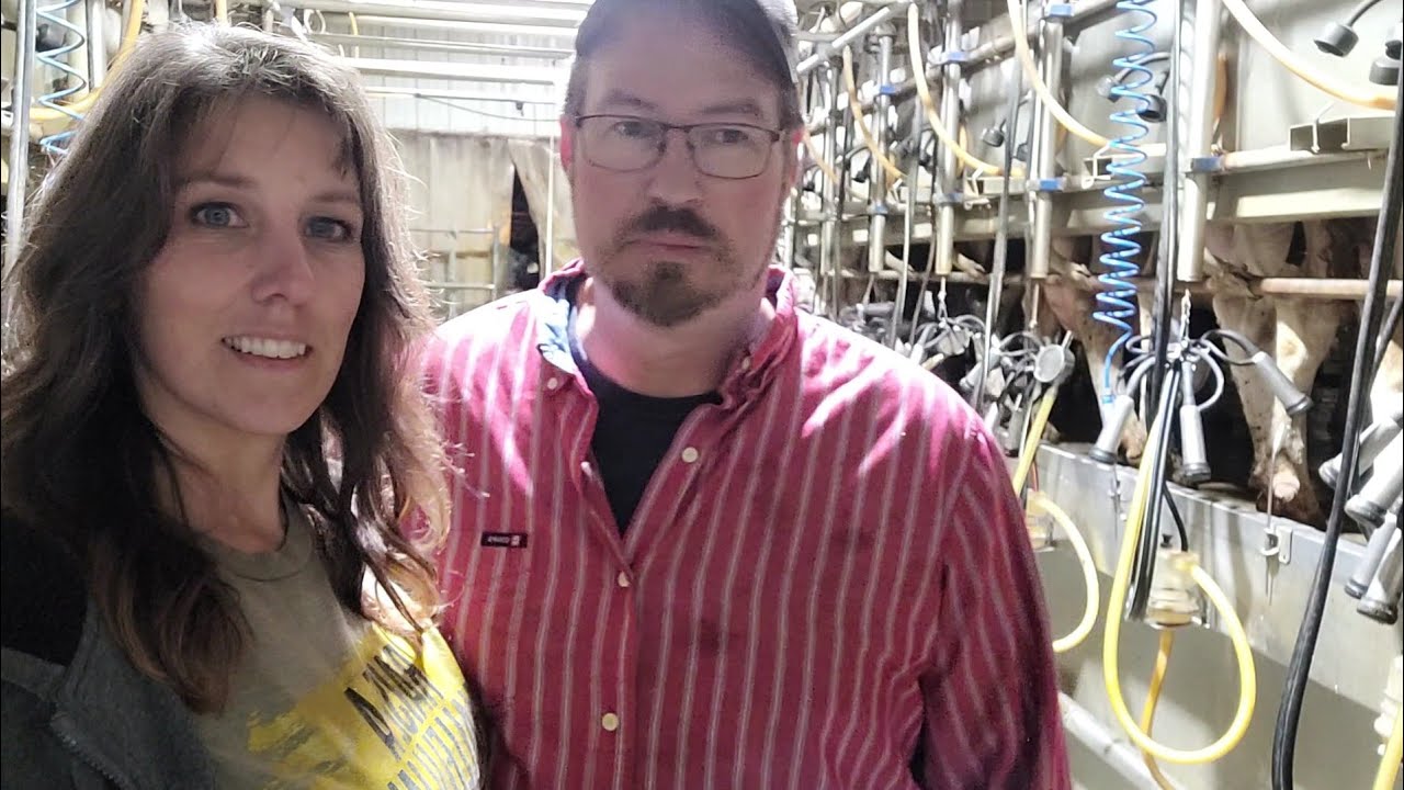 Milking Cows Together /Date Night - YouTube