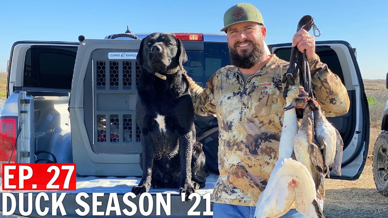 Duck Hunting - Started Slow BUT Finished STRONG! (UPDATE on Tom) - YouTube