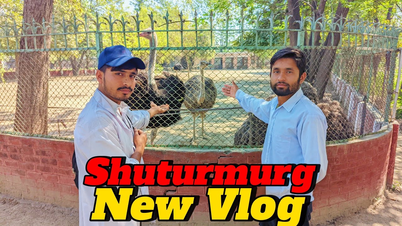 Shuturmurg New Vlog Like and Subscribe My YouTube channel - YouTube
