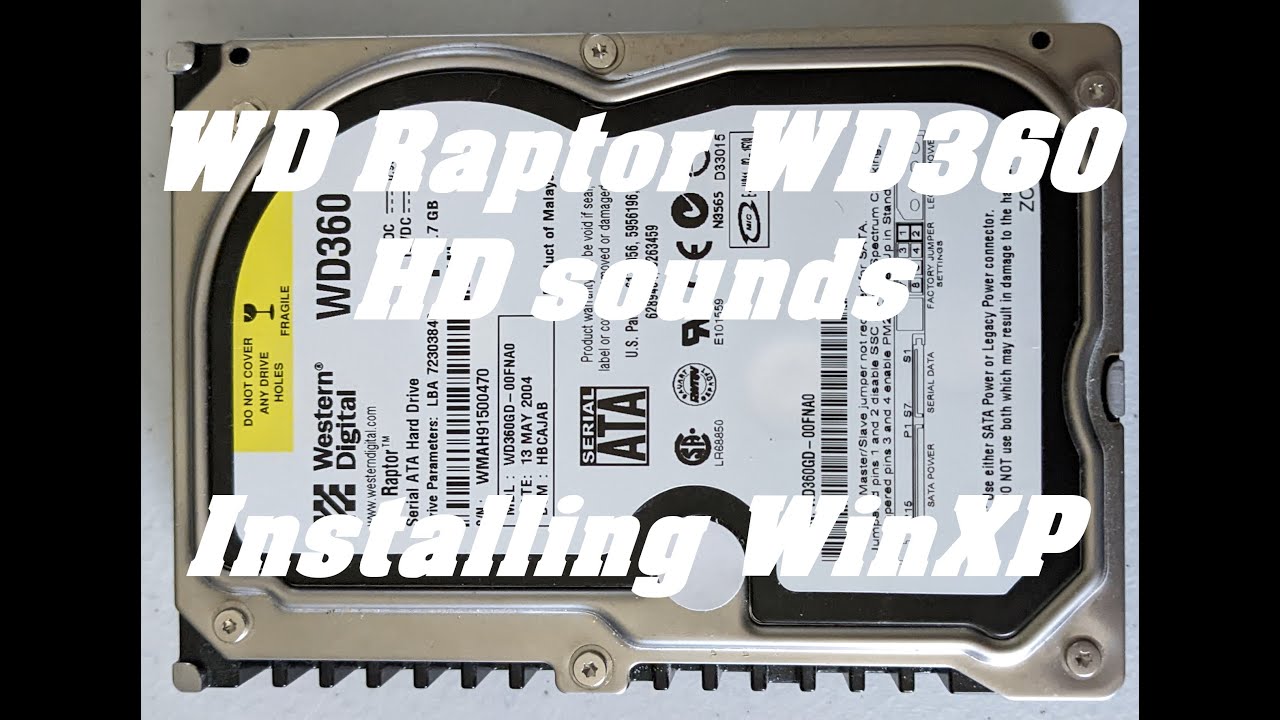 WD Raptor WD360GD (-00FNA0) HD sounds - Installing Windows XP - YouTube