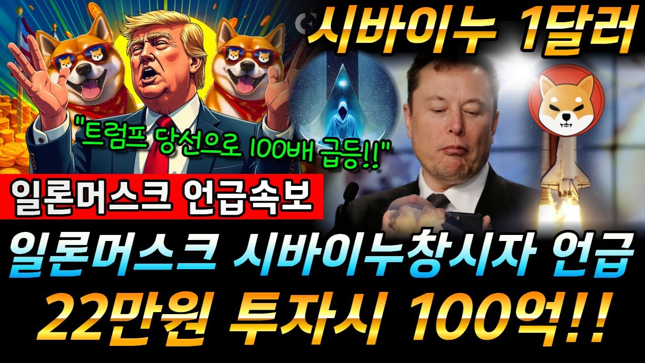 시바이누 코인 일론머스크 시바이누 창시자 언급 트럼프 당선으로 100배 급등 터진다 비트코인 시바이누코인