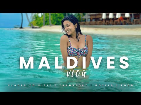 VLOG 5- Exploring the Maldives| Swimming with sharks | Avantika 🏝️ ☀️🦩