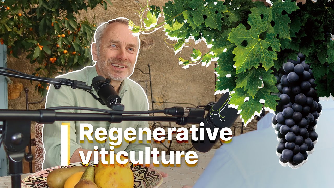 Regenerative Viticulture: The Future of Wine? 🍷 [STEPHEN CRONK] - YouTube