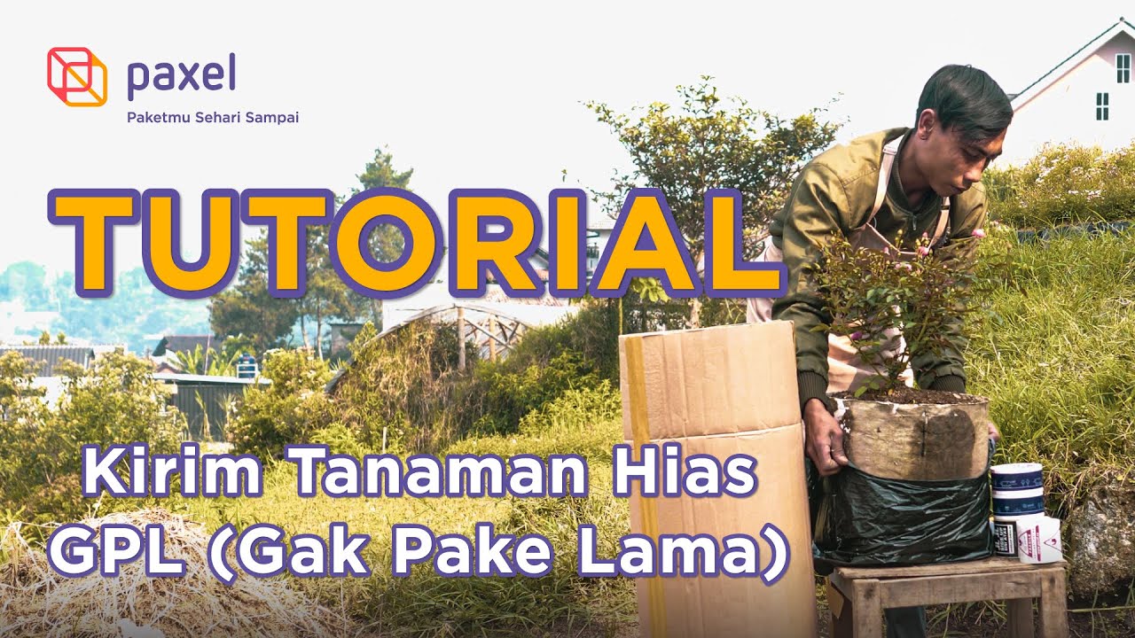Tutorial Packing & Kirim Tanaman Hias, Ga Pake Lama - YouTube