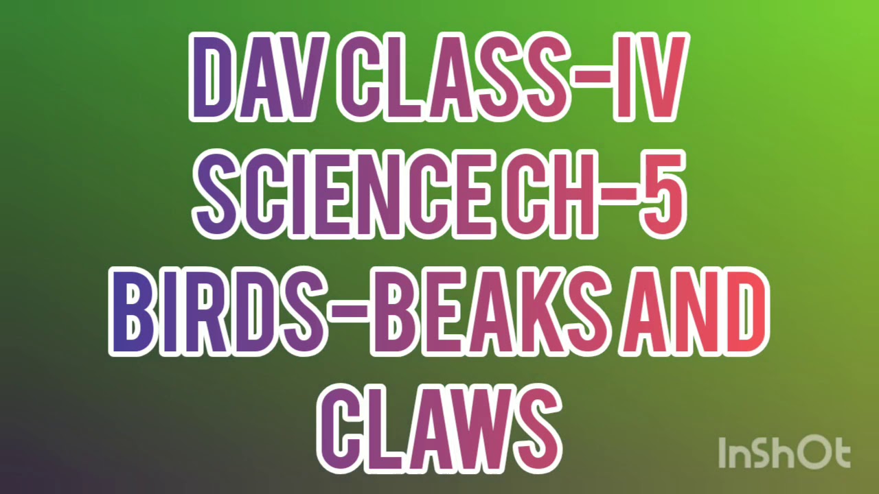 DAV CLASS-IV CH-5 BIRDS - BEAKS AND CLAWS(PART-1) - YouTube