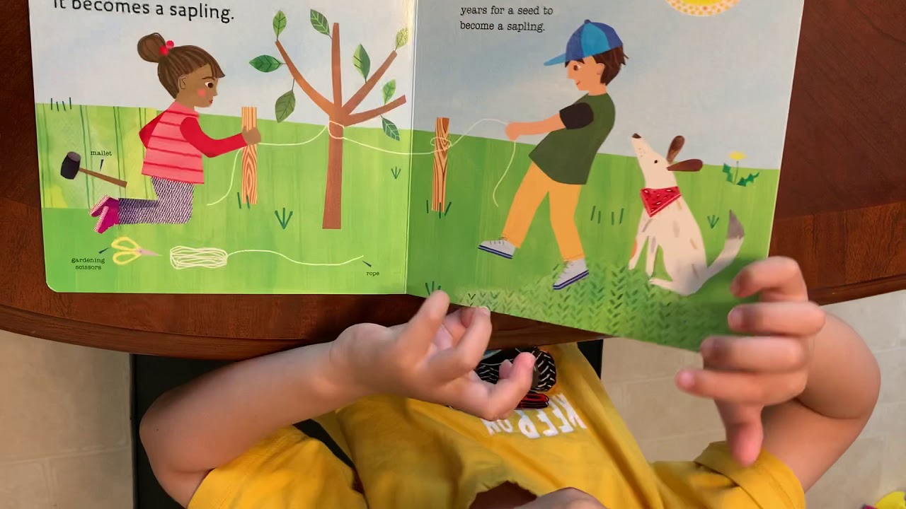 How do Apples grow? Book reading for toddlers - YouTube