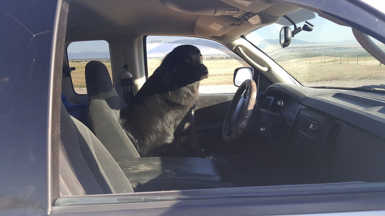 Walk with Cheryl - Cardwell to Ennis Lake Montana - YouTube