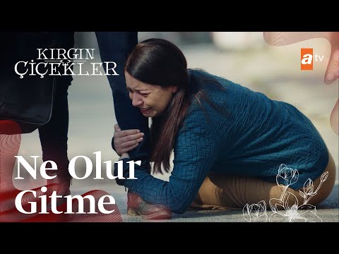 Eylül, yurda geri dönme kararı alıyor... - Kırgın Çiçekler 75. Bölüm