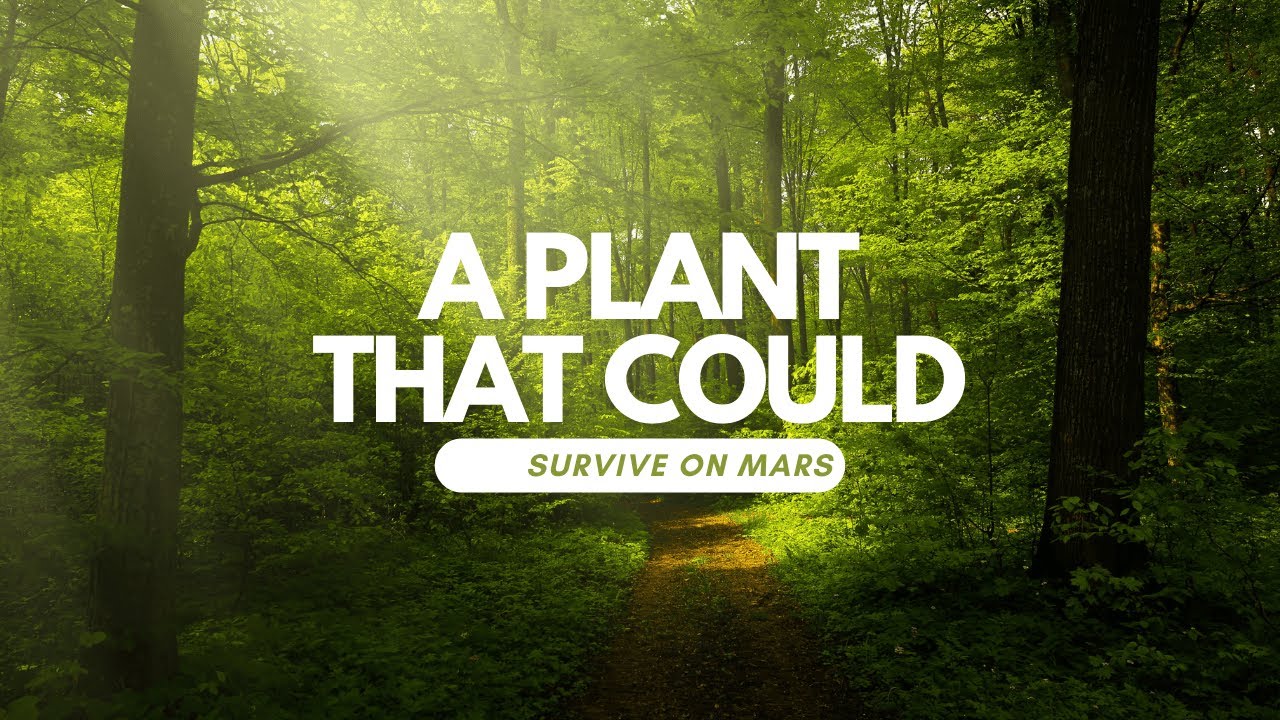 Scientists Discover a Plant That Could Survive on Mars! - YouTube