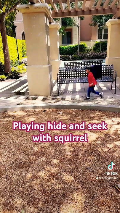 Hide and seek playing with squirrel April 19, 2024 - YouTube