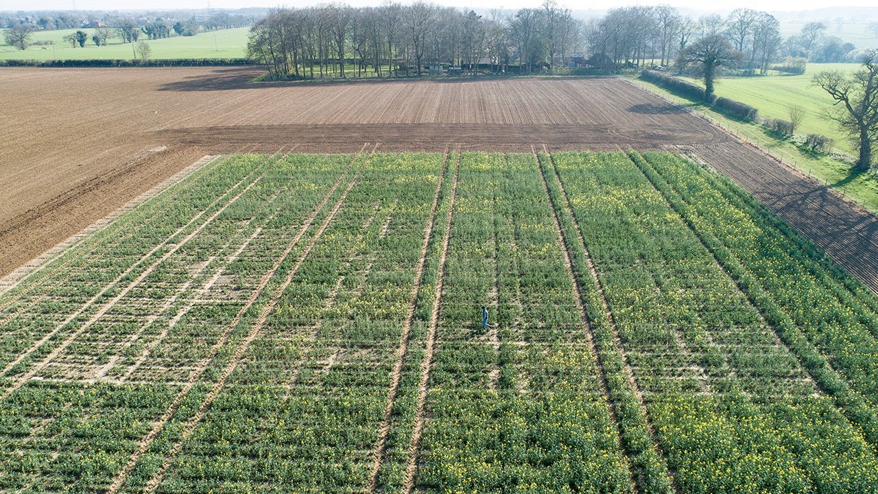 Could climate change bring in an unexpected boost for British crops ...