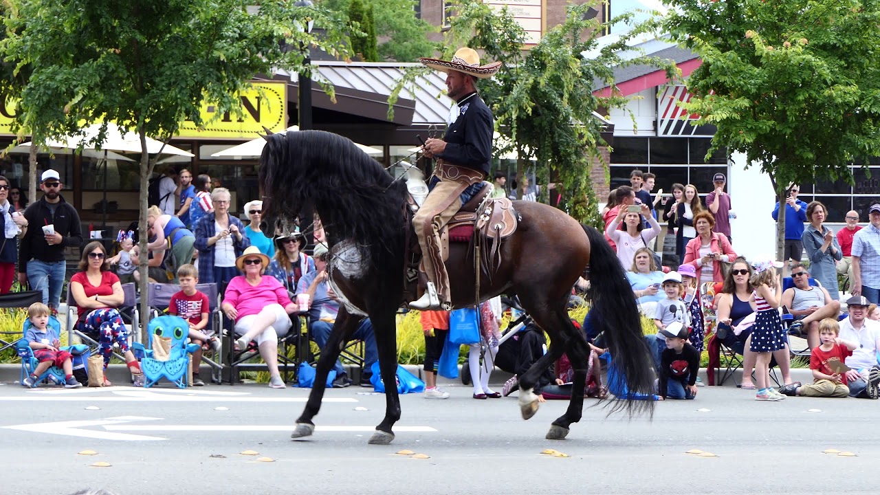 2019-07-04-Horses on the parade - YouTube