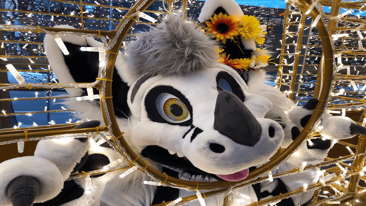 CUTEST FURRY CONVENTION EVER - YouTube