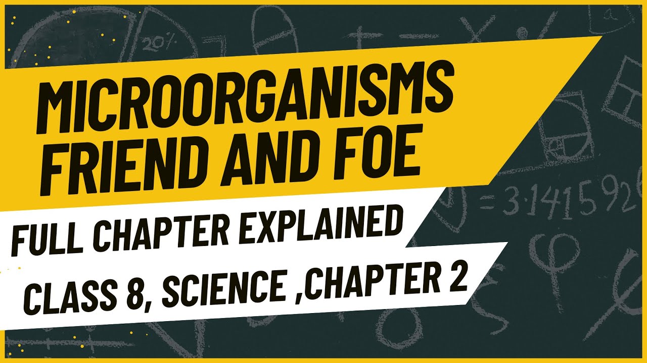 Microorganisms friend and foe class 8 | Class 8 science chapter 2 ...