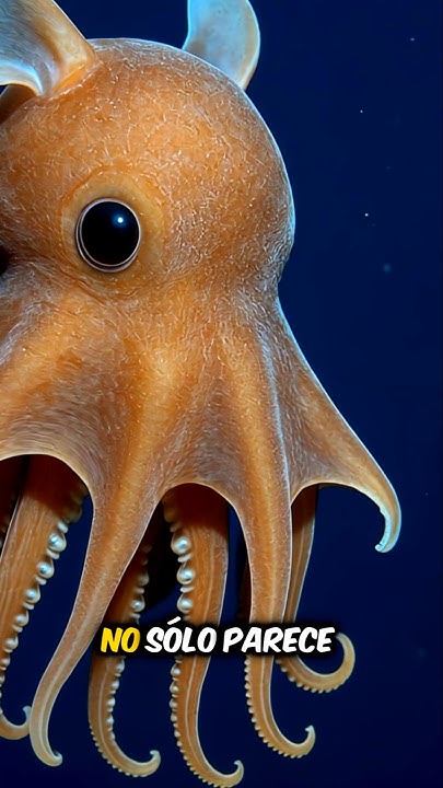 ¿Crees que ya lo has visto todo? #short - YouTube