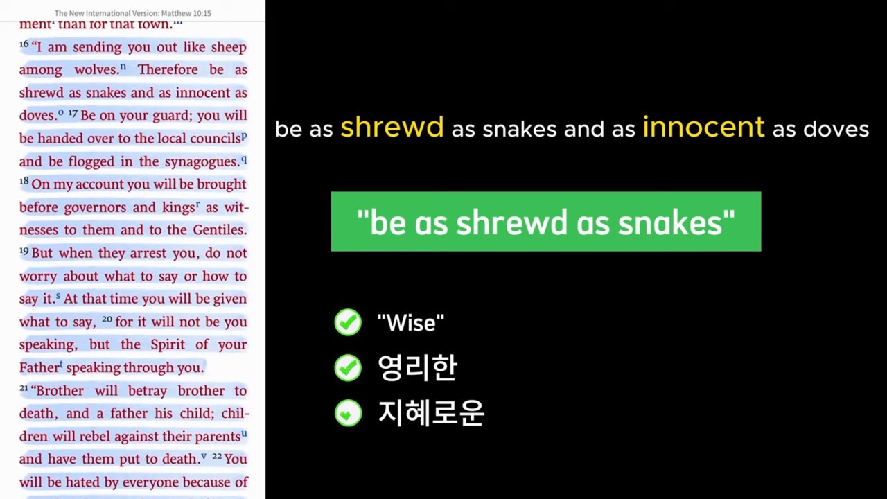 “Be as shrewd as snakes and as innocent as doves.” Matt 10:16 영어 성경 봉독 ...