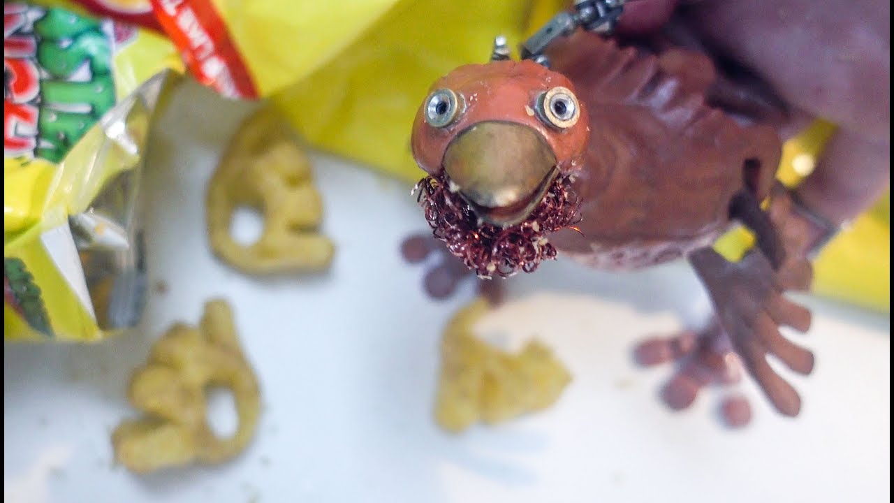 Dabchick needs a SHAVE - YouTube