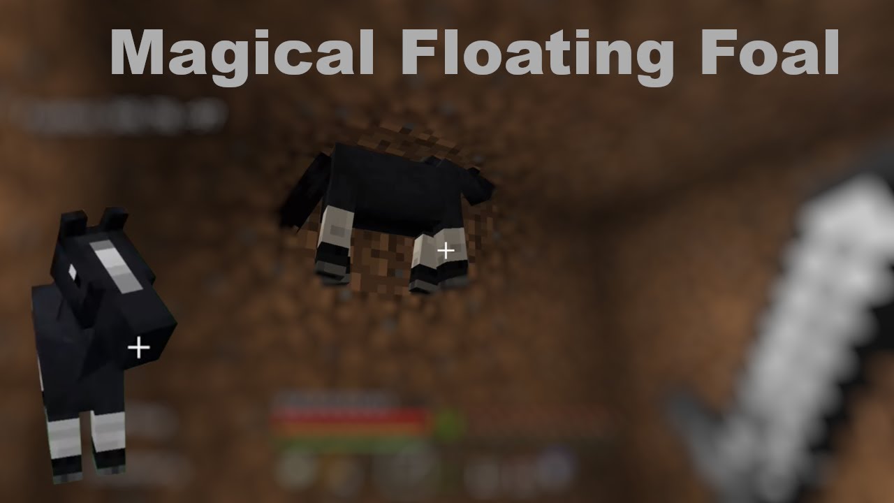 Minecraft - Magical Floating Foal - YouTube
