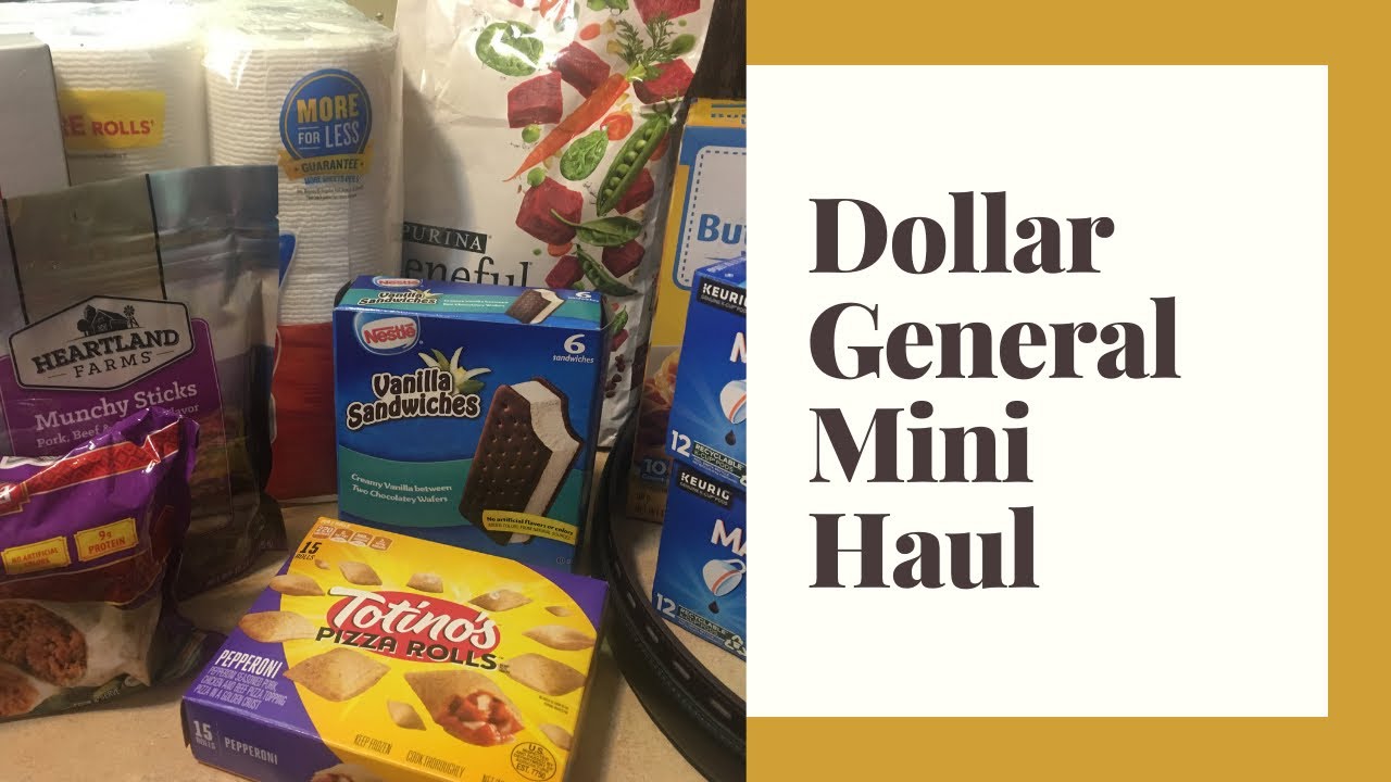 Dollar General Mini Haul/ Mics Stockpile and Pantry items - YouTube