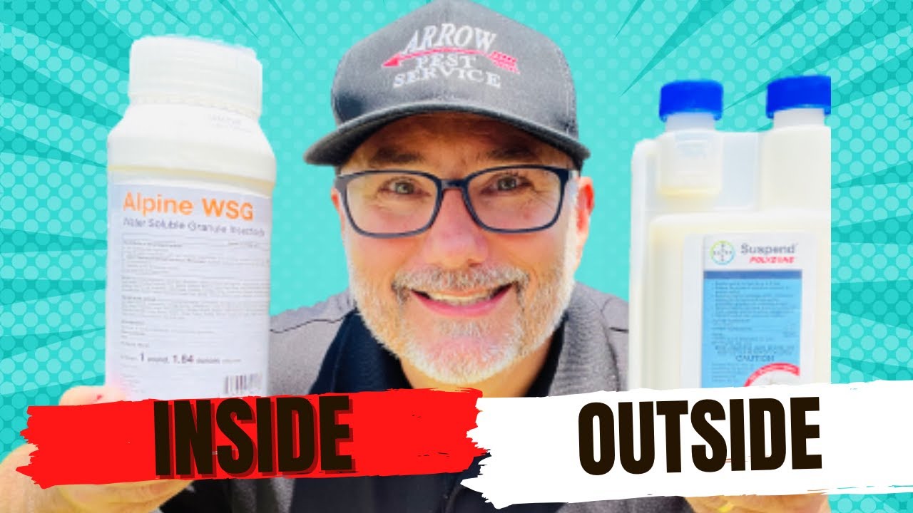 DIY Pest Spray That Works Like a Pro—No More Infestations! - YouTube