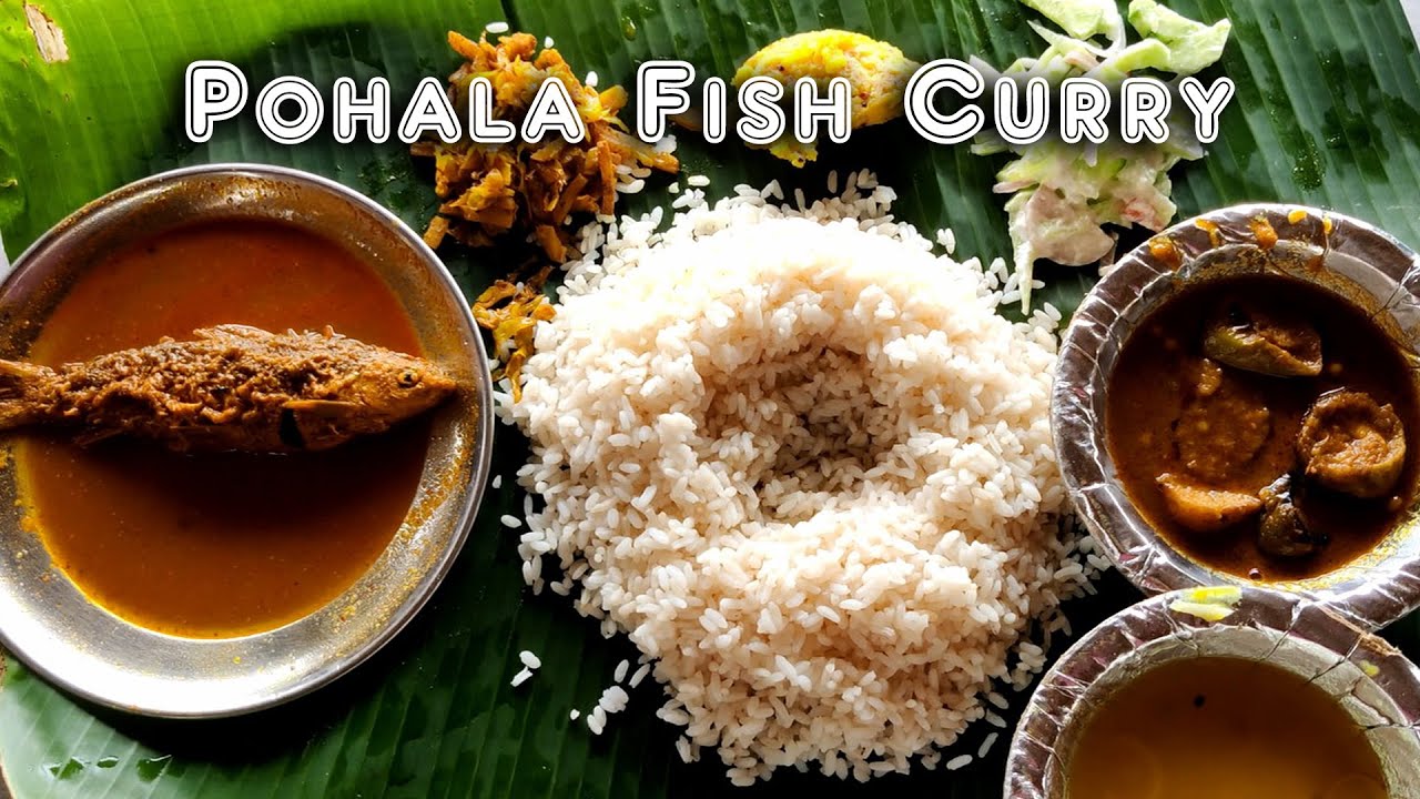 Freshly Caught Pohala (Bata) Fish Curry || from Mahanadi and Kathajodi ...