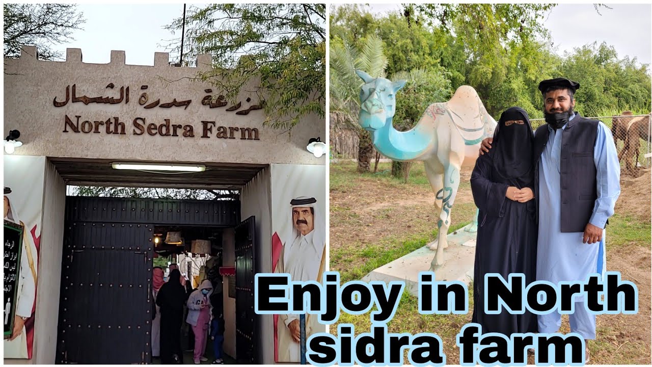 North sidra farm in qatar || hina ki duniya || Episode 129( viral video ...