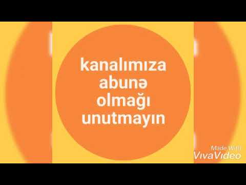 Məzəli meymunlar