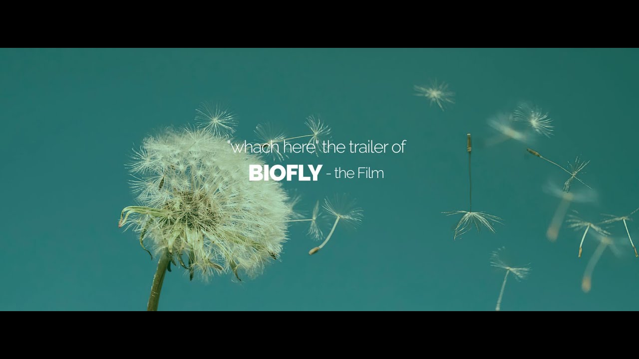 BIOFLY - FILM TRAILER - YouTube