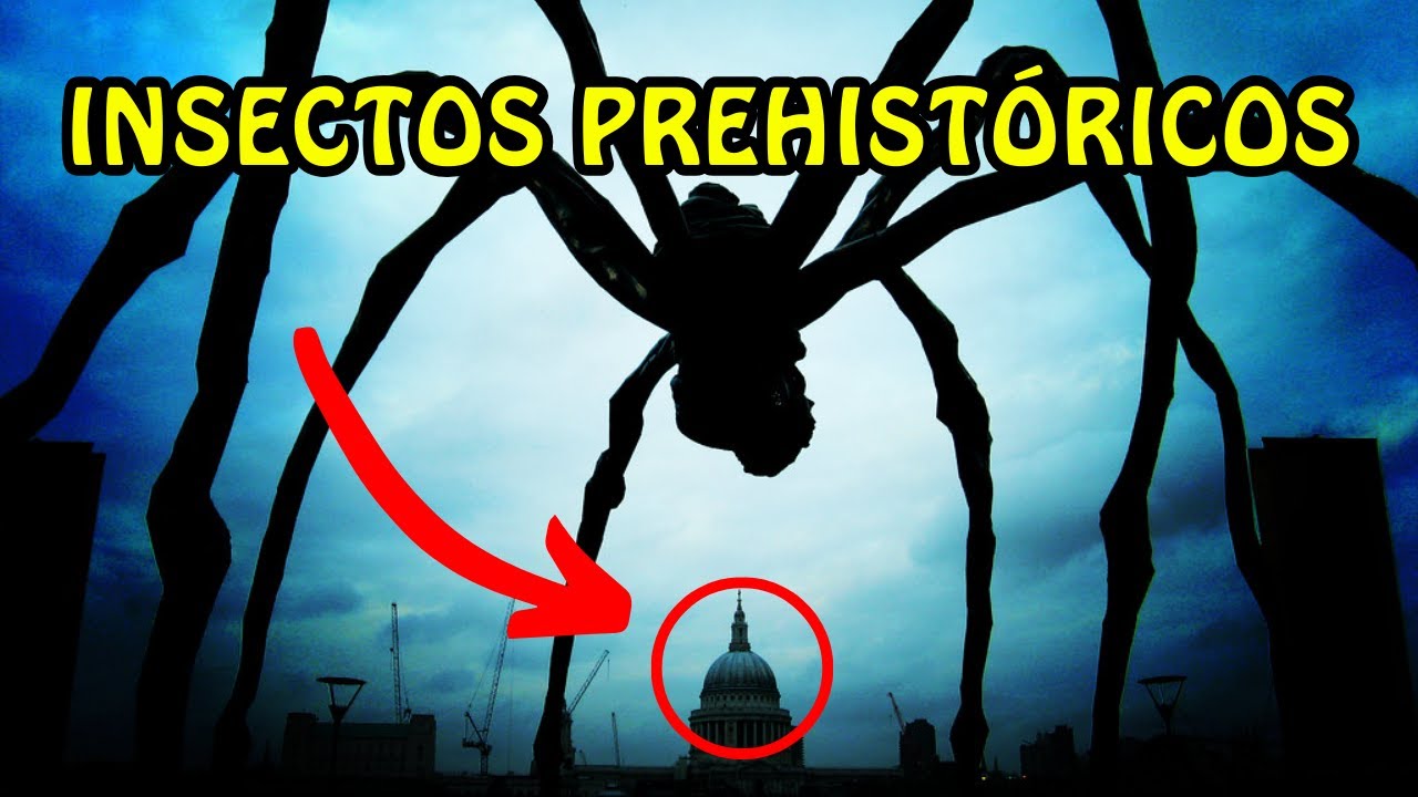 Existían los INSECTOS GIGANTES? Hace 2.000.000 millones de años? - YouTube