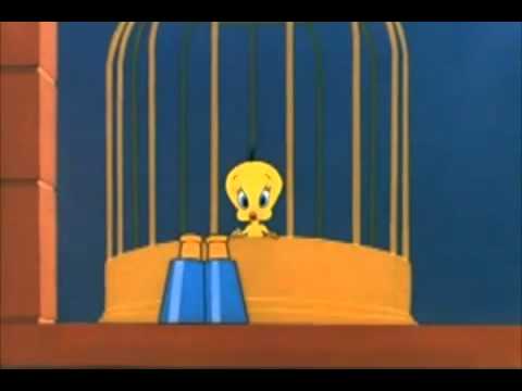 PIOLIN LINDO GATITO - YouTube