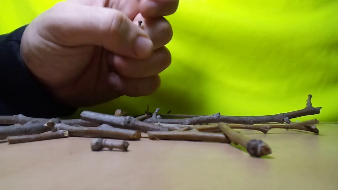 ASMR - Twigs Breaking (Satisfying Sound Effect) - YouTube