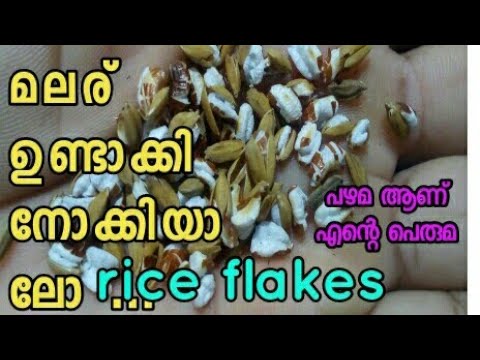 Malaru undakkam rice flakes malayalam nostalgia old snacks - YouTube