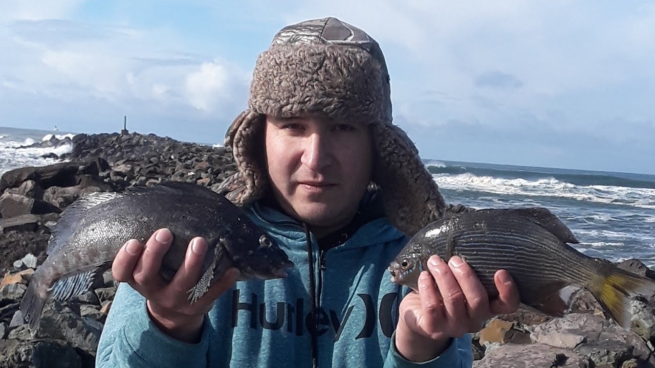 Oregon Fishing striped perch. Pescando mojarra del Mar. - YouTube