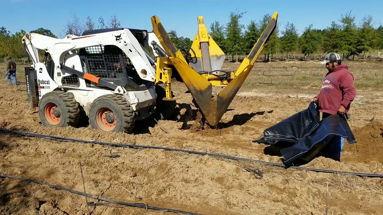 Digging trees - YouTube