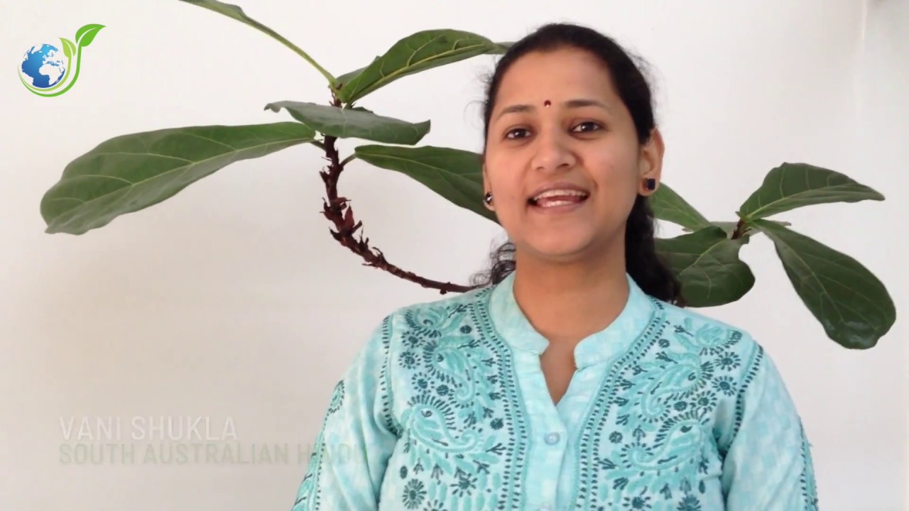 Living the Change: Vani Shukla - YouTube