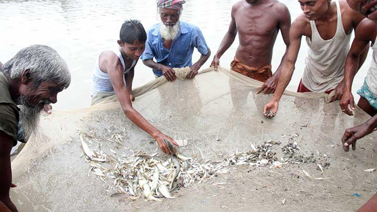 Awesome fishing by net | Net fishing from river | fishing with ...