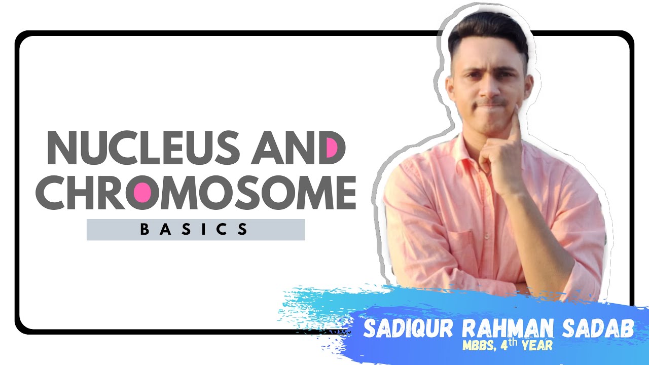 ১.নিউক্লিয়াস ও ক্রোমসোম BASIC ।। বংশগতীয় বস্তু-০১ ।। SADIQUR RAHMAN ...