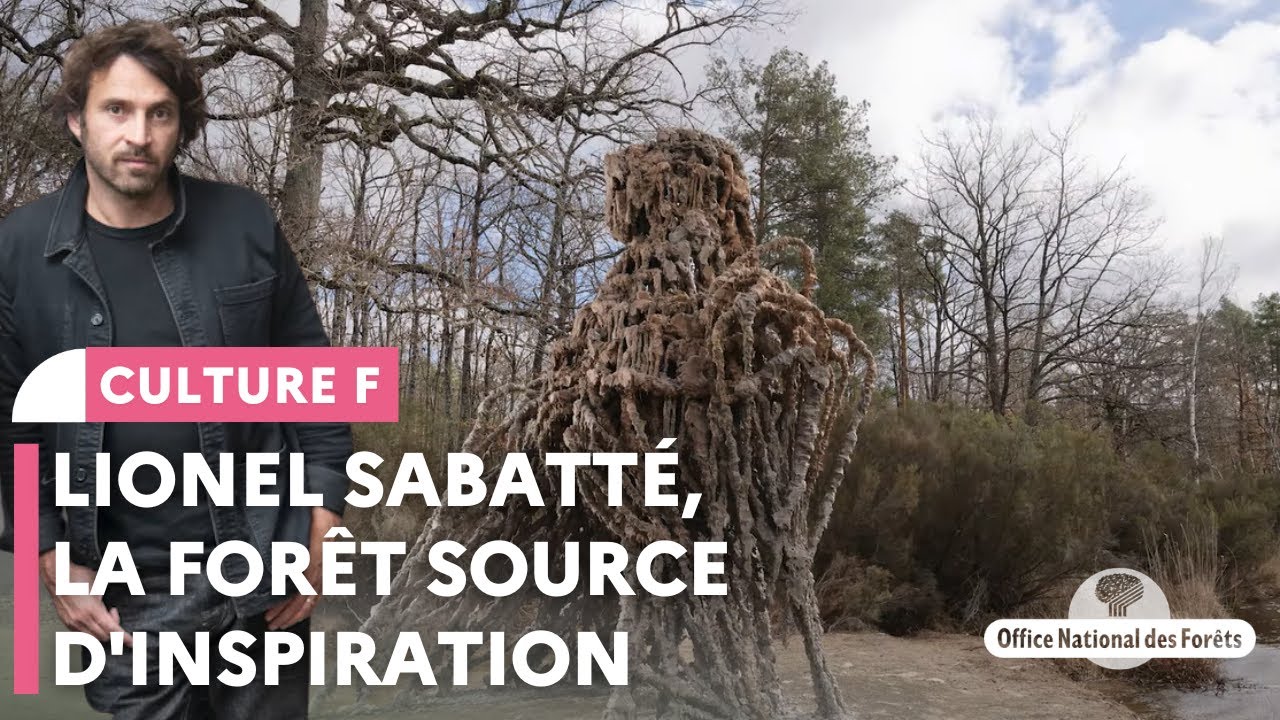 Lionel Sabatté, la forêt une source d'inspiration inépuisable - YouTube