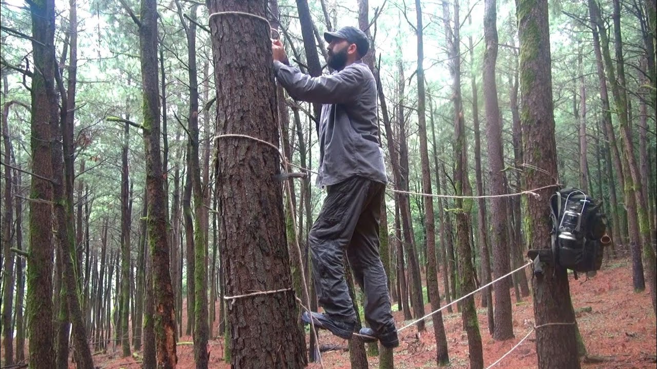 Building a safe shelter on a tree using a rope - YouTube