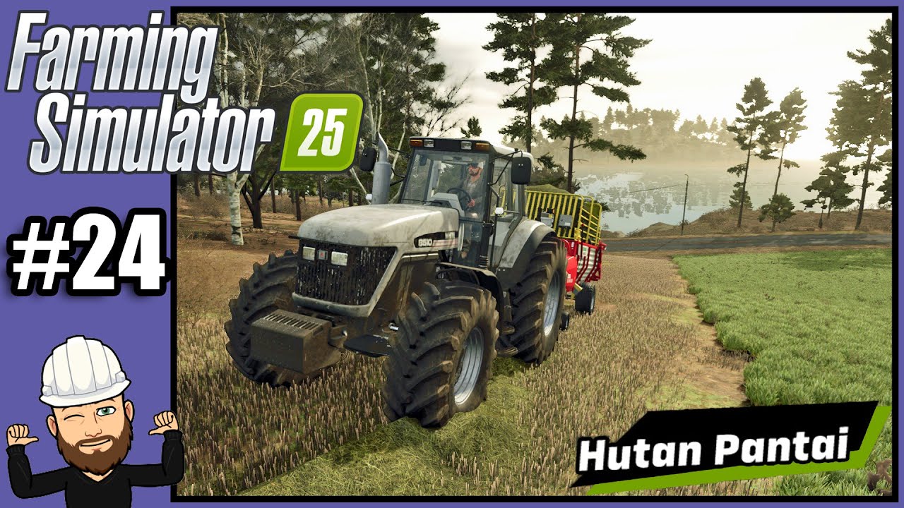 Grass Cutting & Harvesting For Our Goats & Buffalo - Hutan Pantai Let's ...