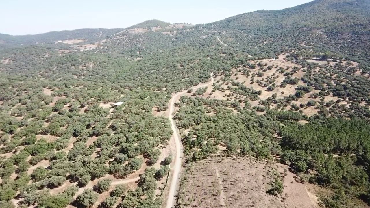 Cala huelva - YouTube