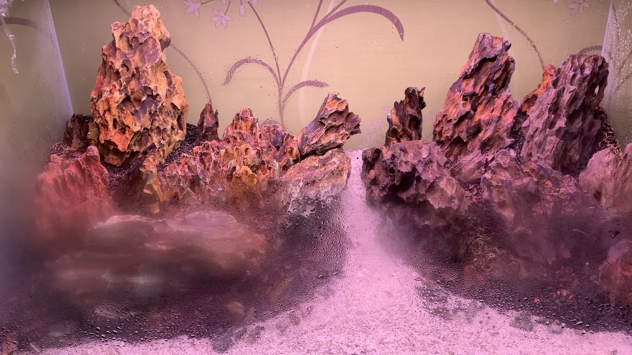 Aquascaping Dragon rock - YouTube