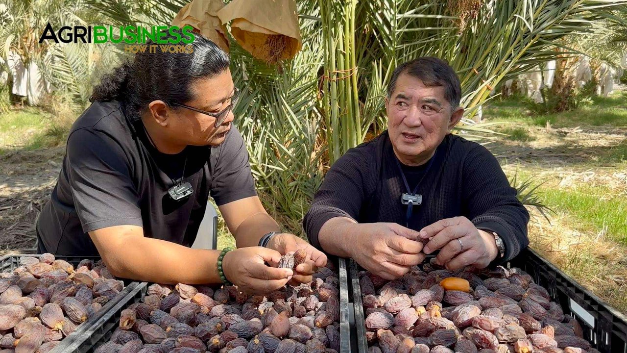 1st PINOY na may DATES FARM sa U.S. - JOMAR HIZON ng PAMPANGA'S BEST ...