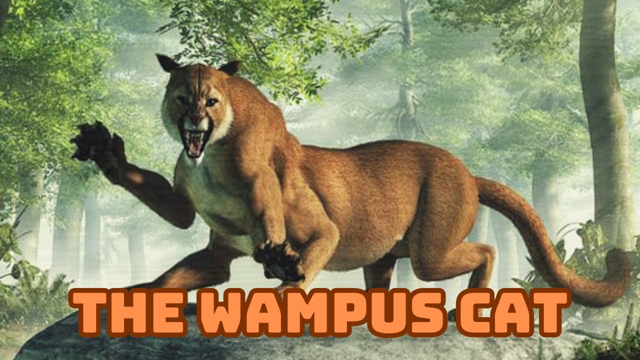 A Cat of Chaos Who Hides in The Appalachians...The Wampus Cat - The ...