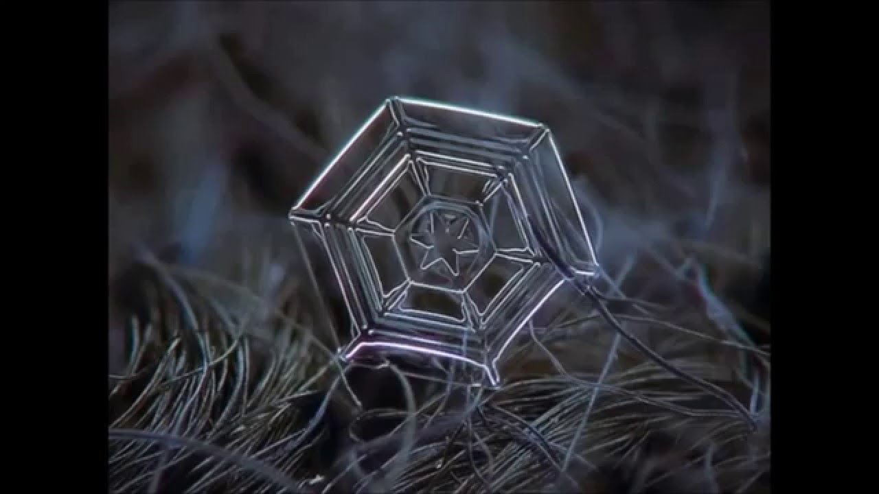 Snowflakes (under the microscope.) - YouTube