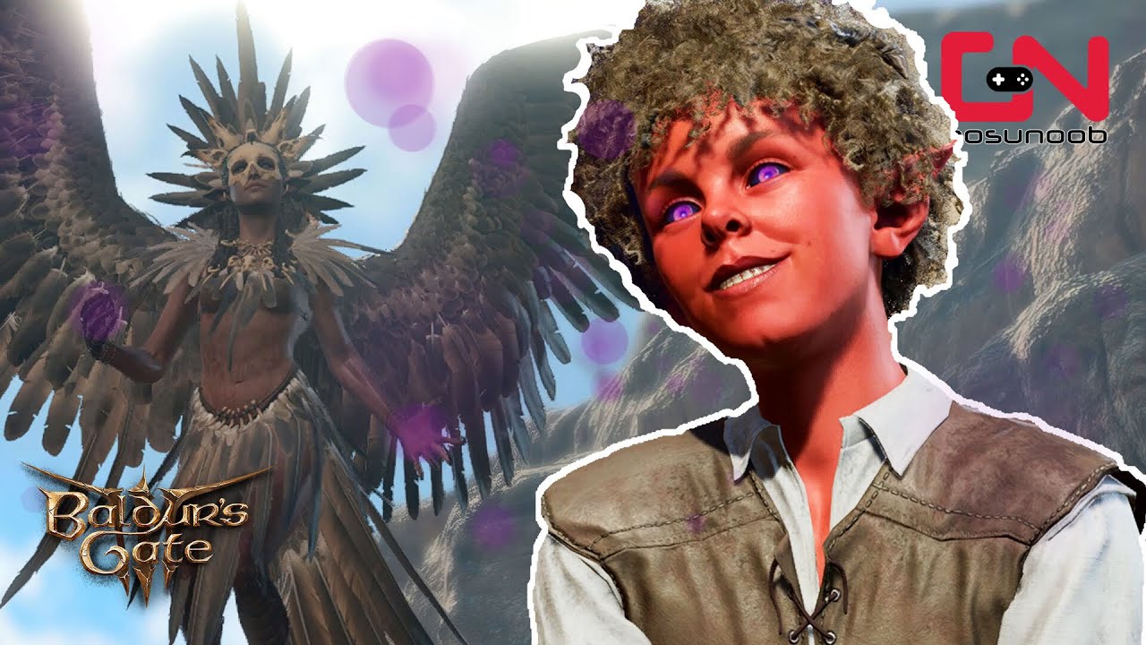 All BG3 Mirkon & Harpies Dialogue Options (Outcomes) - YouTube