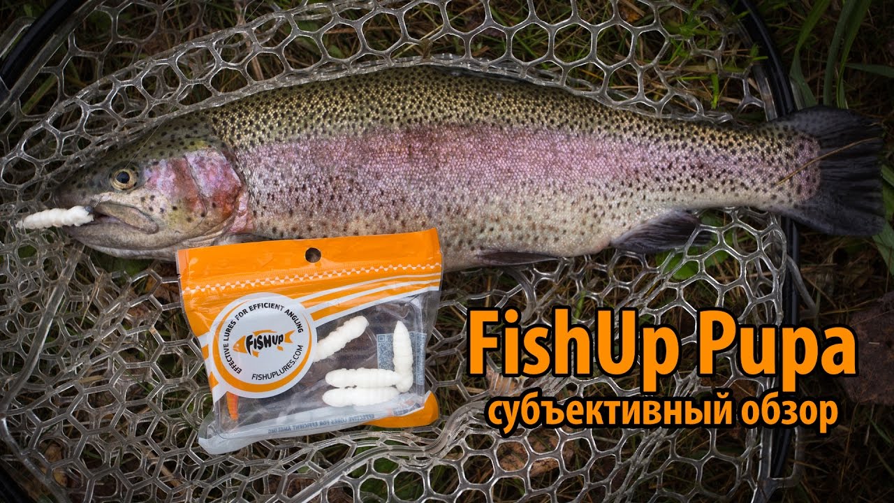 FishUp Pupa (Фишап Пупа) - субъективный обзор и техника ловли форели на ...