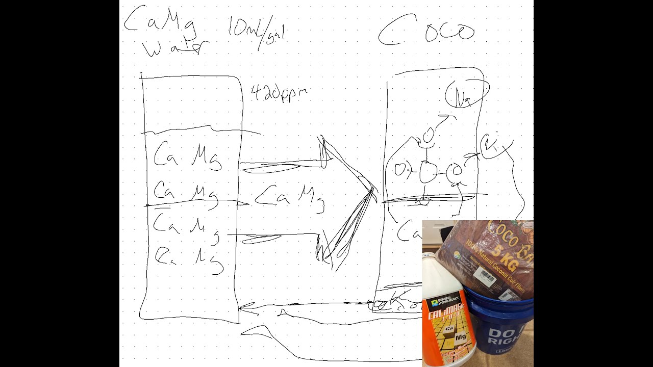 What is buffering anyway? What does buffering coco coir in simple ...